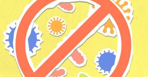 A Gut Health Dietitian's Review: Hack Your Health Documentary